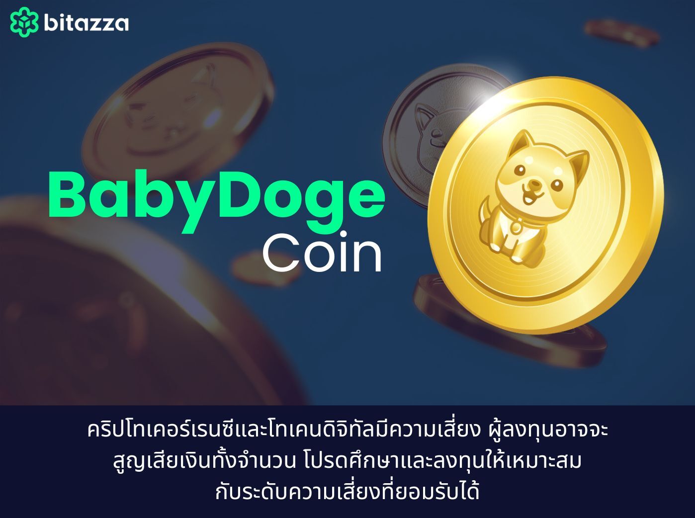 BabyDoge คืออะไร? วิเคราะห์อนาคตเหรียญมีมในตลาดคริปโตปี 2025